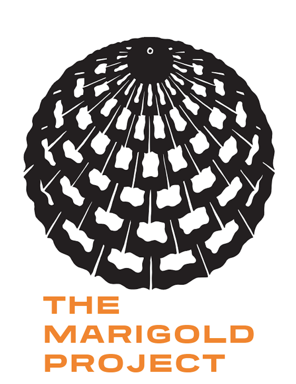 Nathaniel Rateliff & The Night Sweats - Marigold Package | Seated