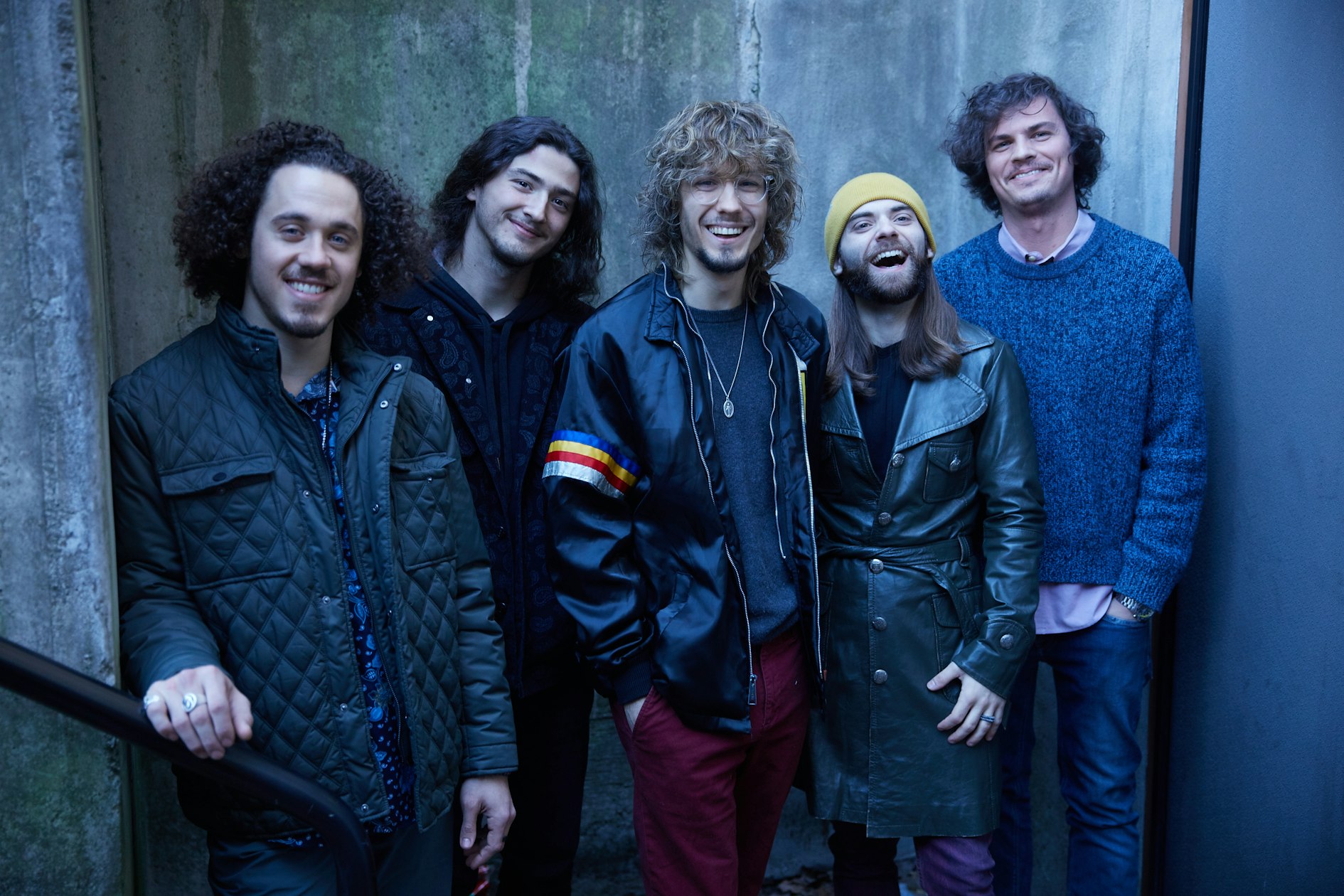 Dogs In A Pile | Seated